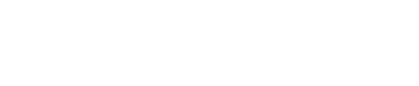 ZERO Heavy Belt - Tenicor